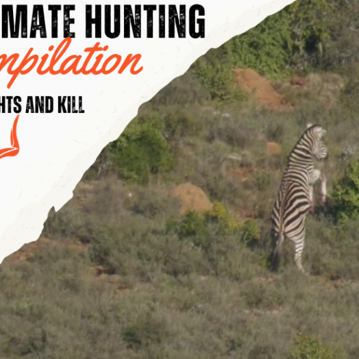 Ultimate Hunting Compilation: Highlights and Kill Shots - Hunt Addicted